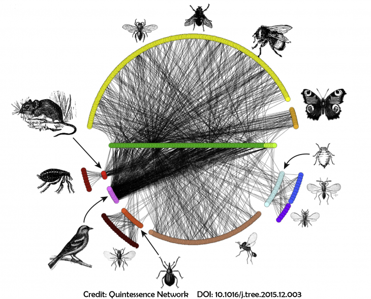 Network Methods to Understand Complex Systems Lesson, Part 1: Ecological Networks | SESYNC